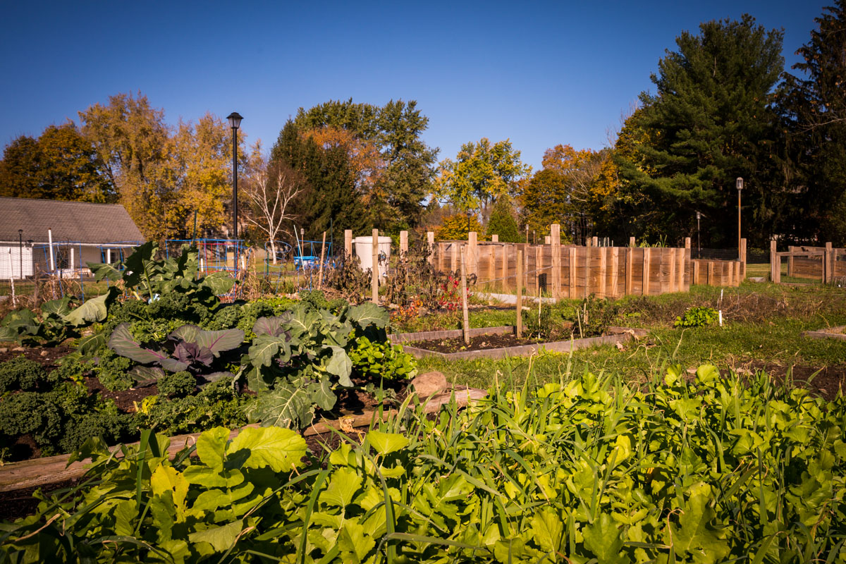 Community Garden | Pakachoag Center for Arts, Recreation, Spirituality ...